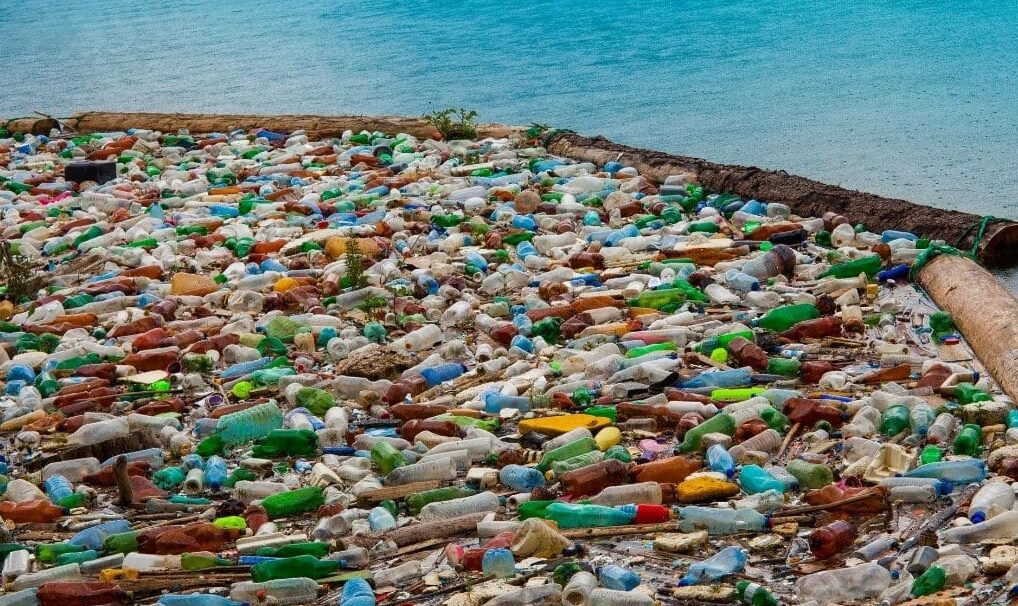 Myths about Plastic Pollution - Ocean Material